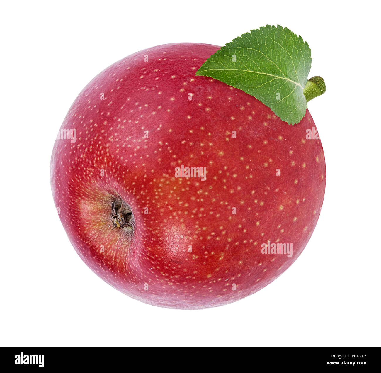 Apple on a white background Stock Photo - Alamy