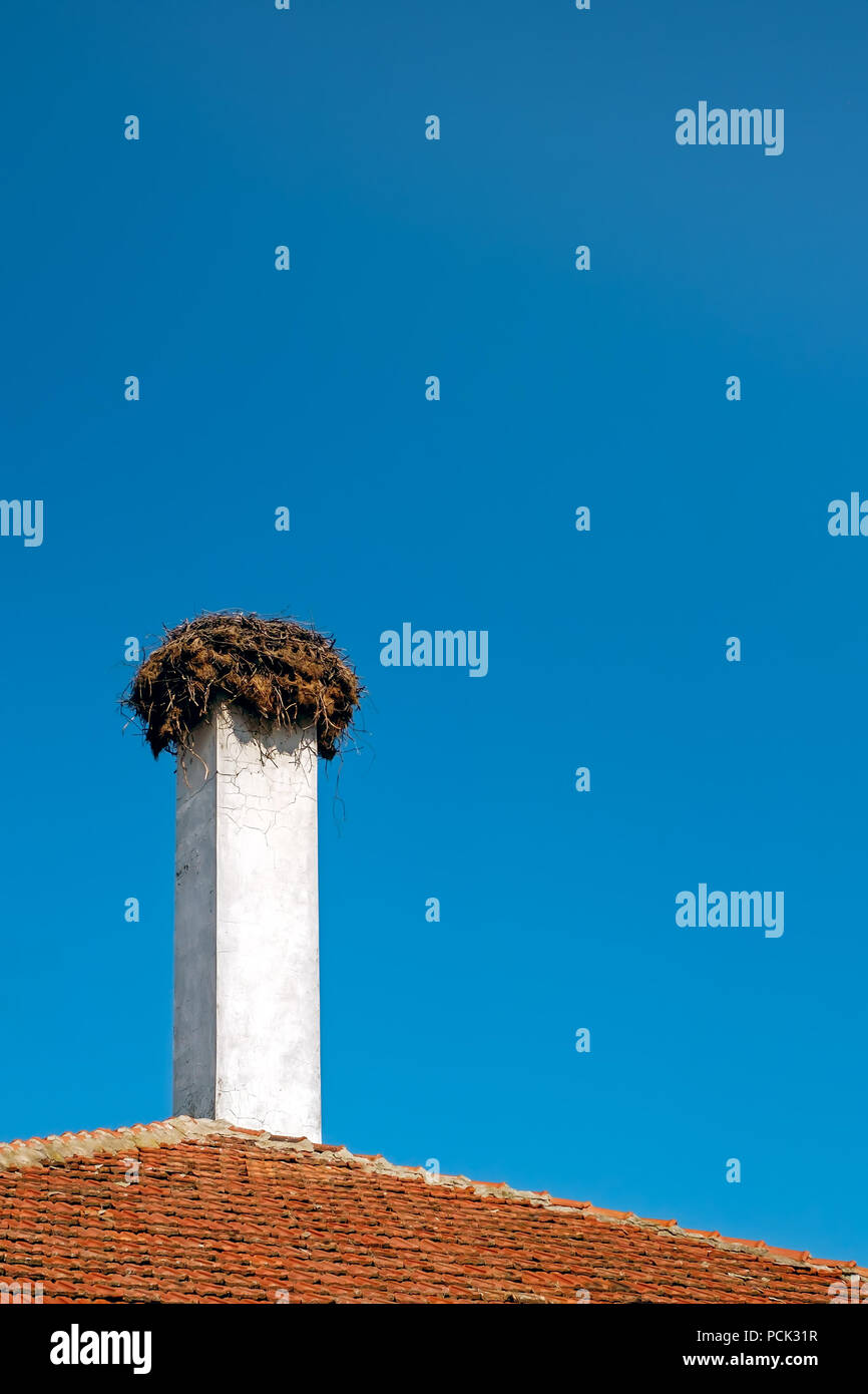 Adult stork on a roof hi-res stock photography and images - Alamy