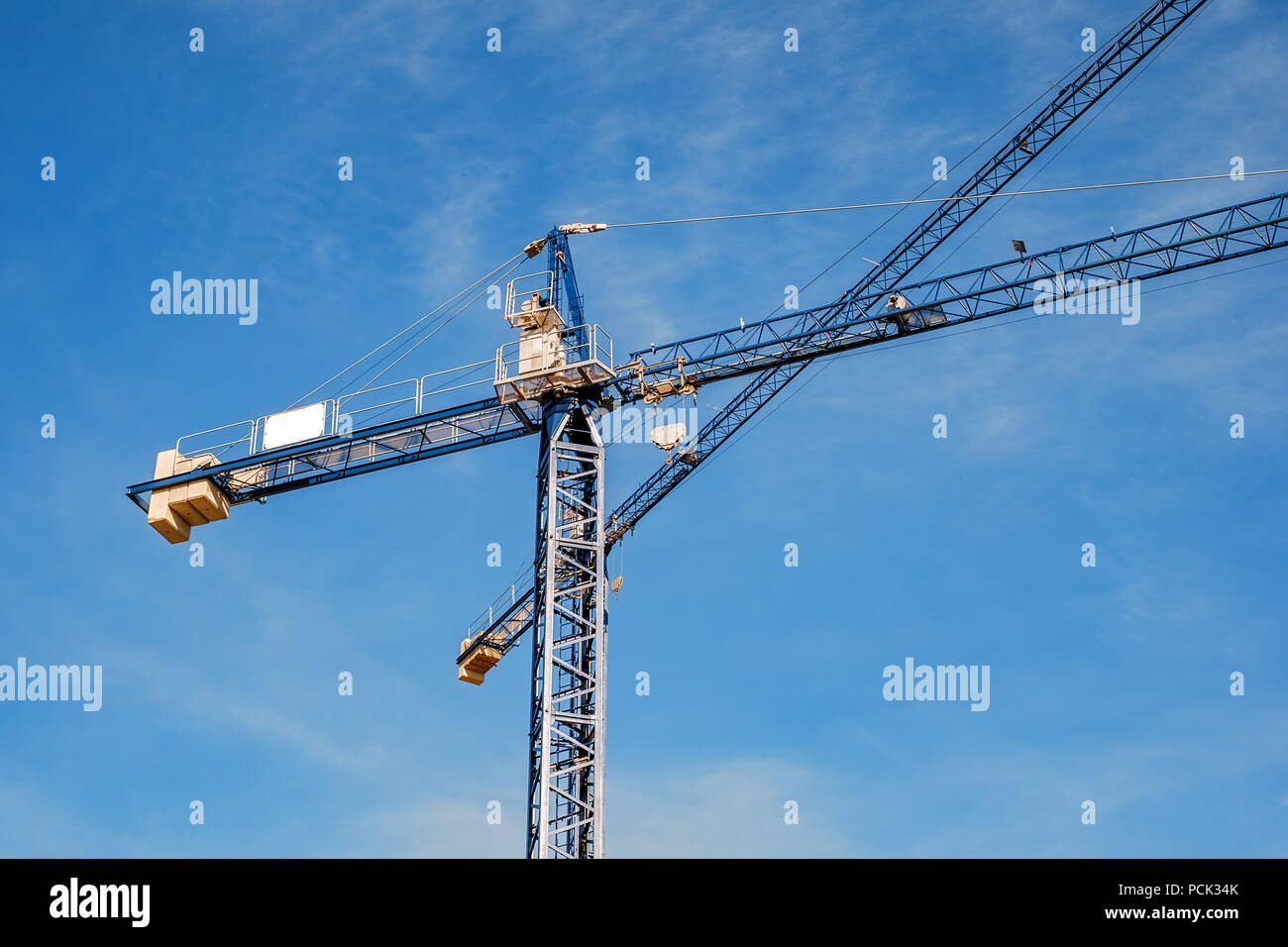 The blue crane Stock Photo - Alamy