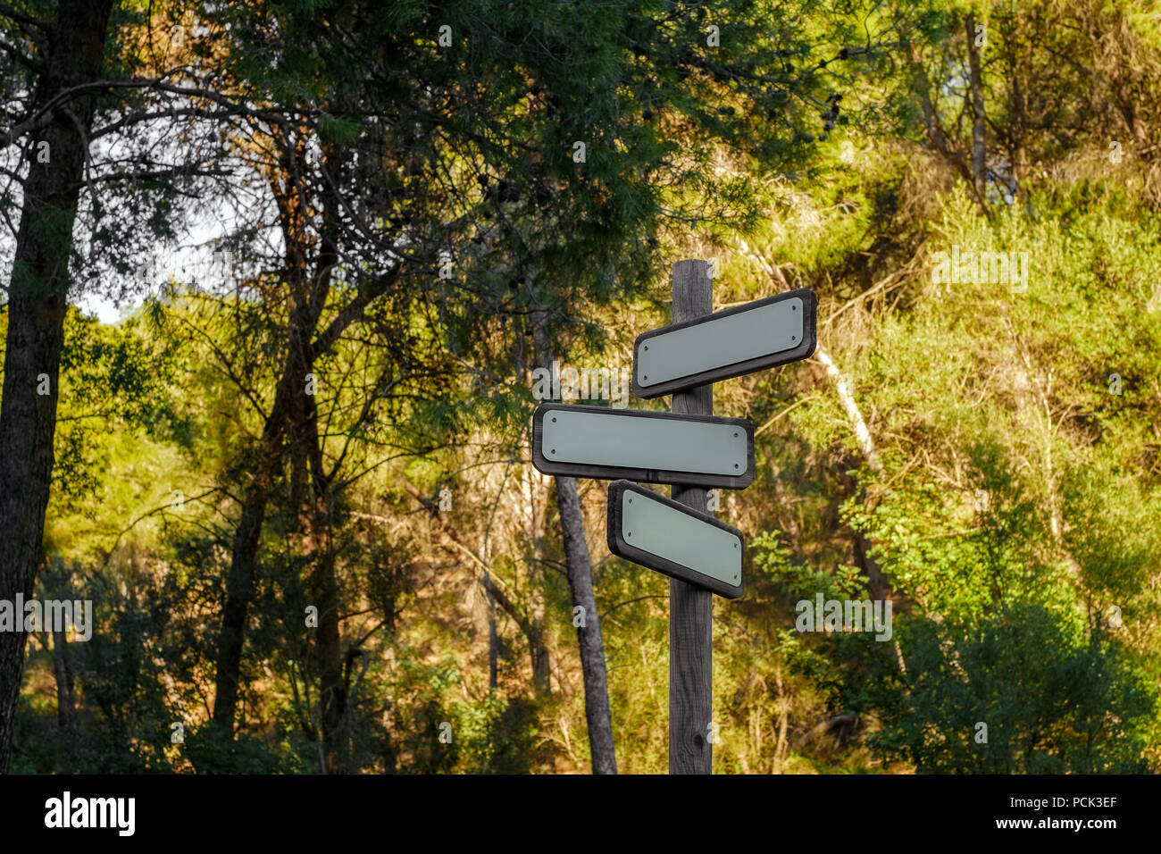 Wooden direction signs on a pole in the forest Stock Photo - Alamy
