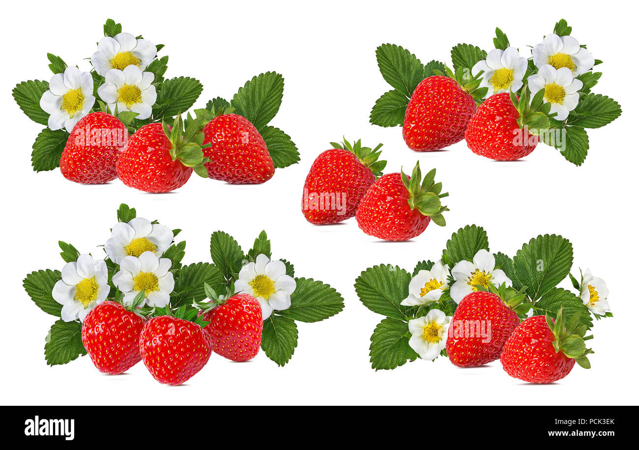 Strawberry with flower isolated on white background Stock Photo - Alamy