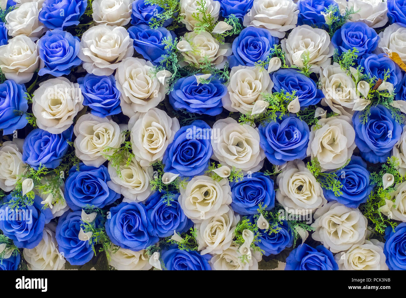 artificial blue and white roses Stock Photo - Alamy