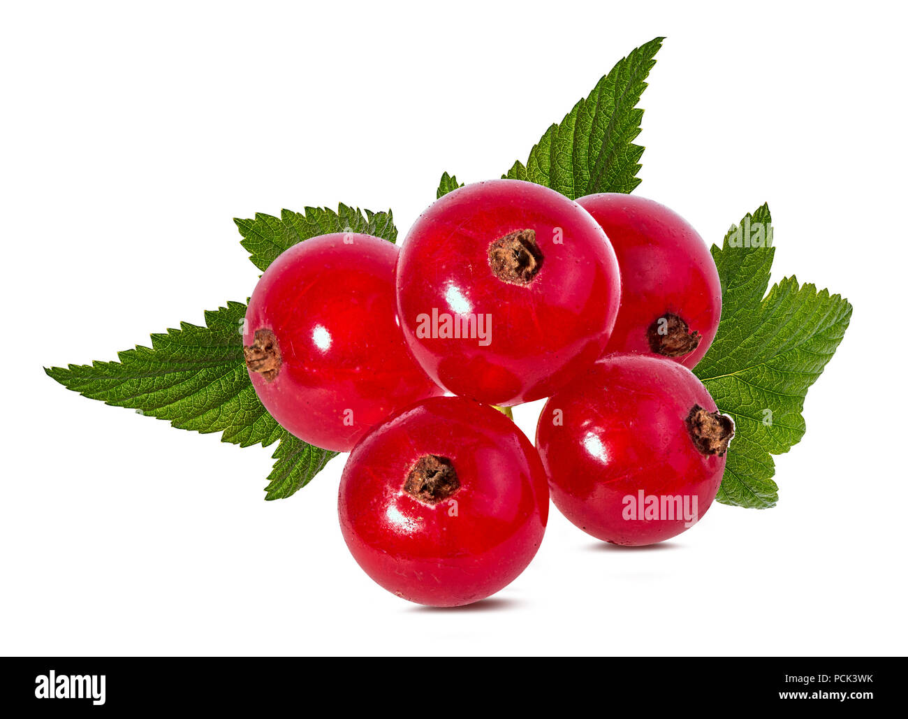 Red ripe currants on Cut Out Stock Images & Pictures - Alamy