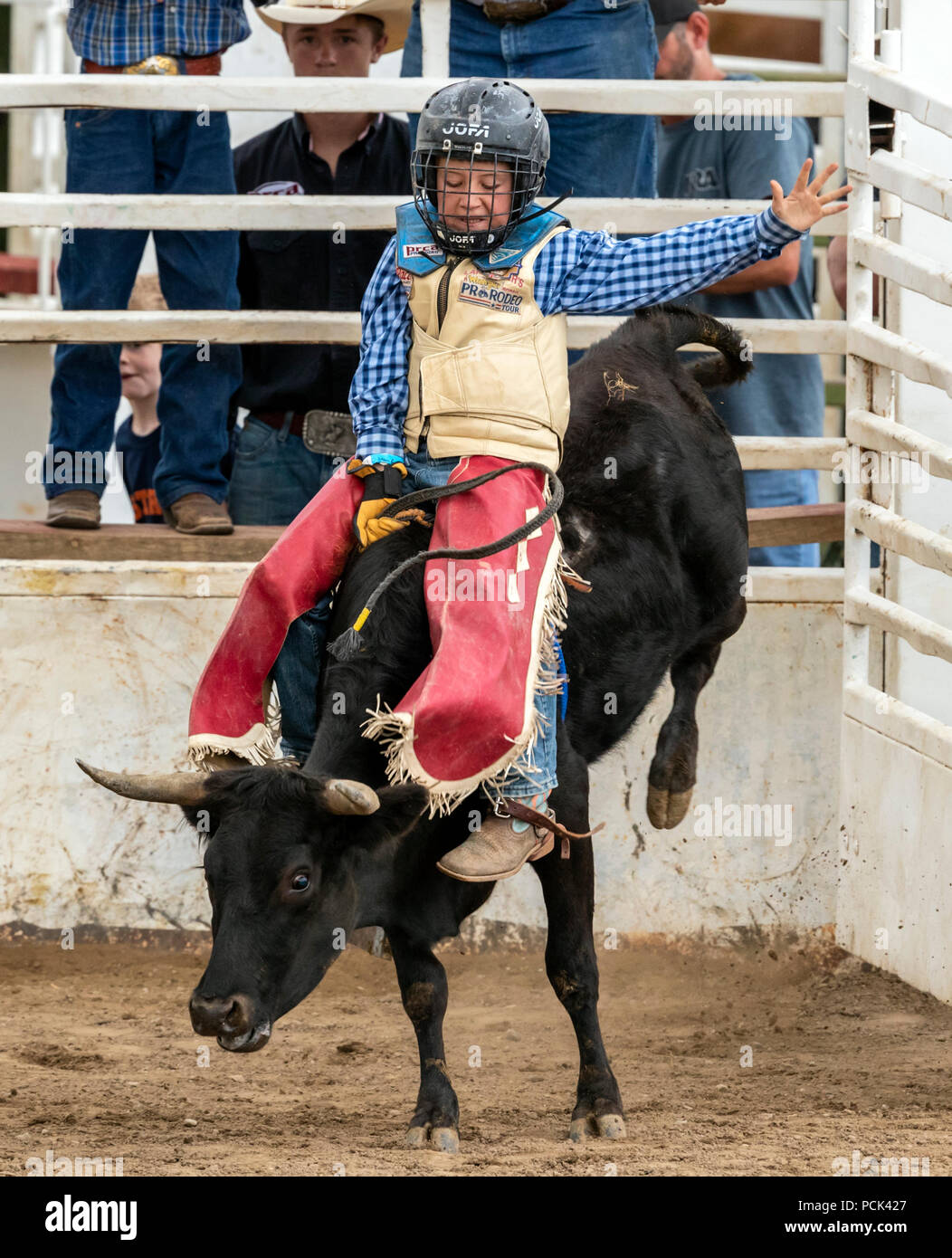Young cowgirl riding a small bull in the Junior Steer Riding ...