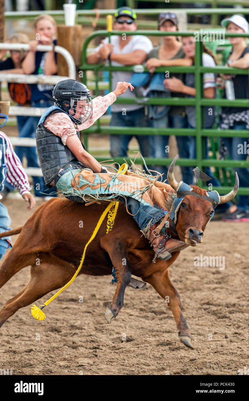 Young cowboy riding a small bull in the Junior Steer Riding competition ...
