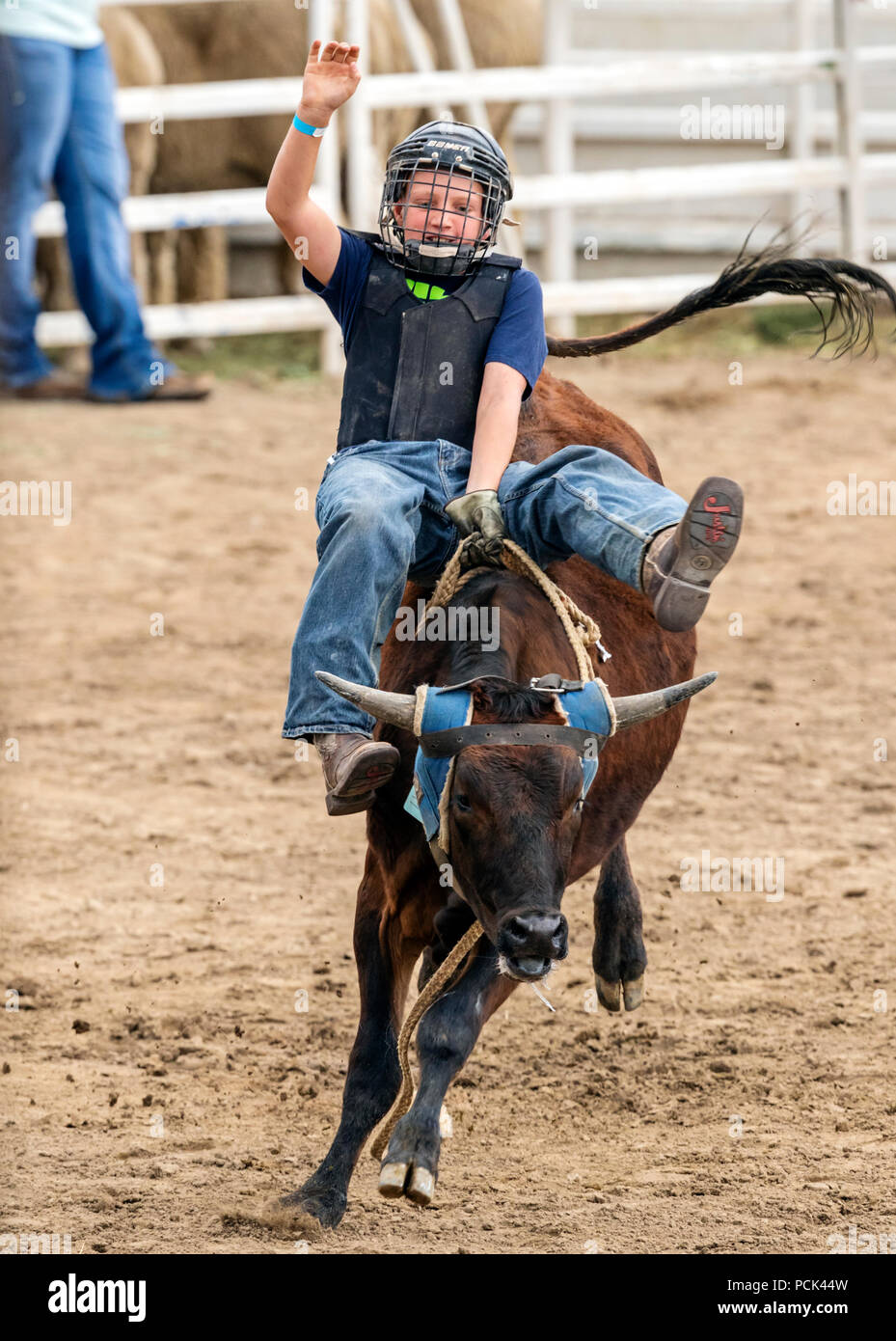 Young cowboy riding a small bull in the Junior Steer Riding competition ...