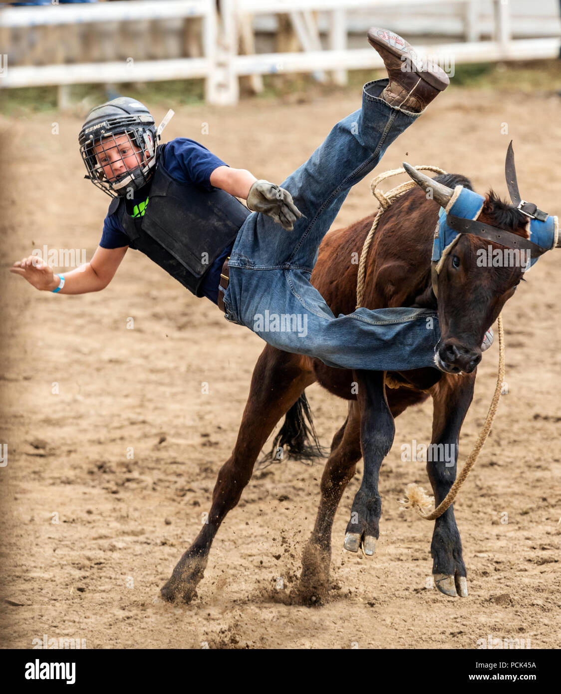 Young cowboy riding a small bull in the Junior Steer Riding competition ...
