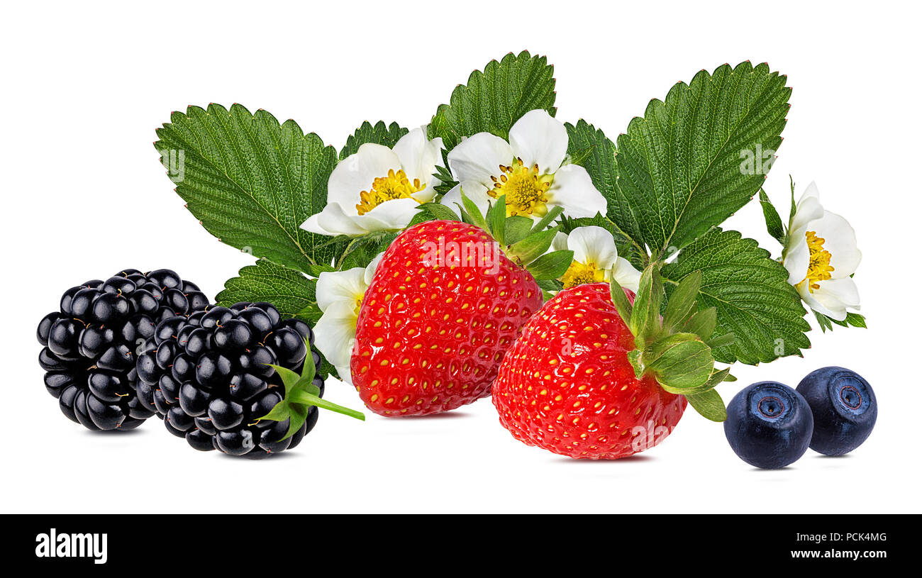 Strawberry,blueberries and blackberries isolated on white background ...