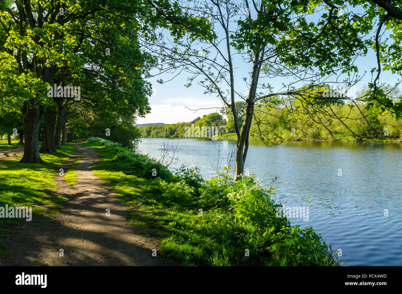 A Riverside Walk and the River Tyne at Hexham Stock Photo - Alamy