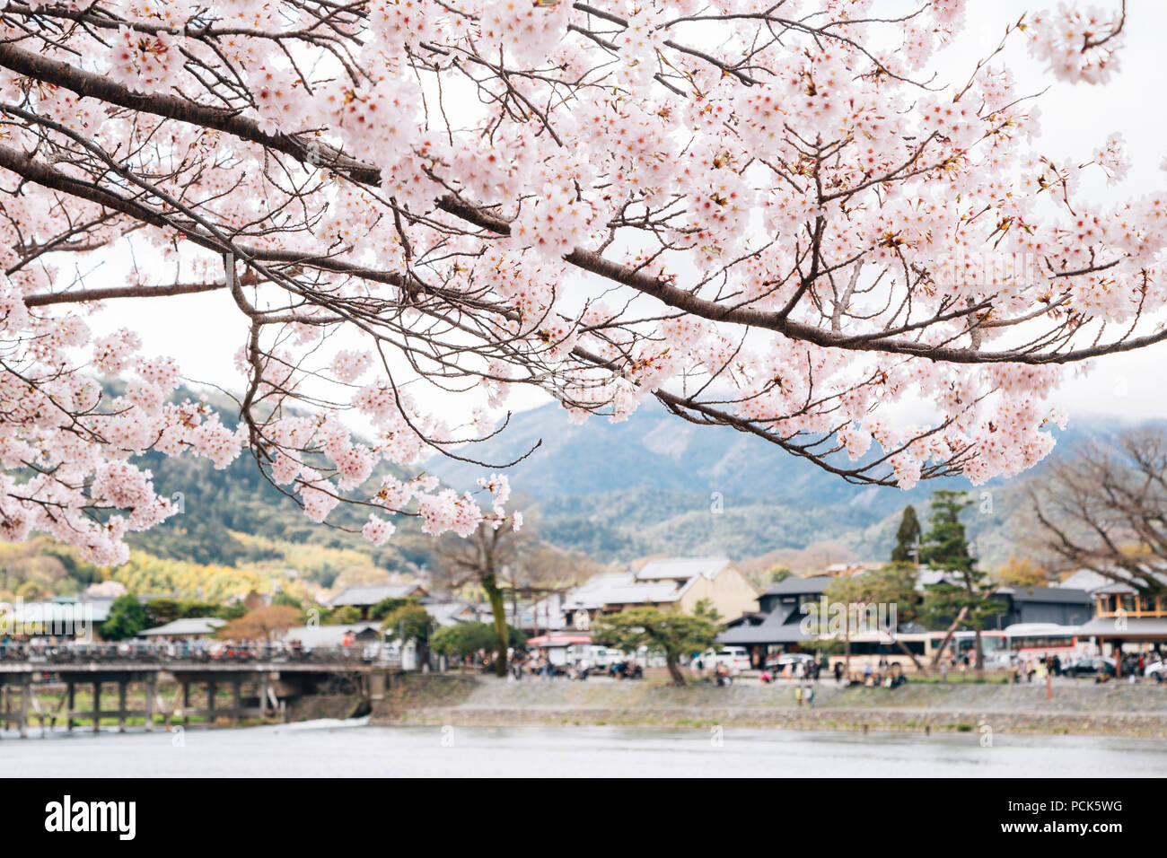 Arashiyama river hi-res stock photography and images - Alamy