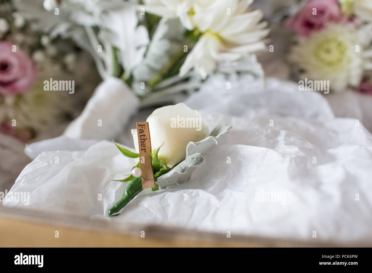 Father of the bride hi-res stock photography and images - Alamy