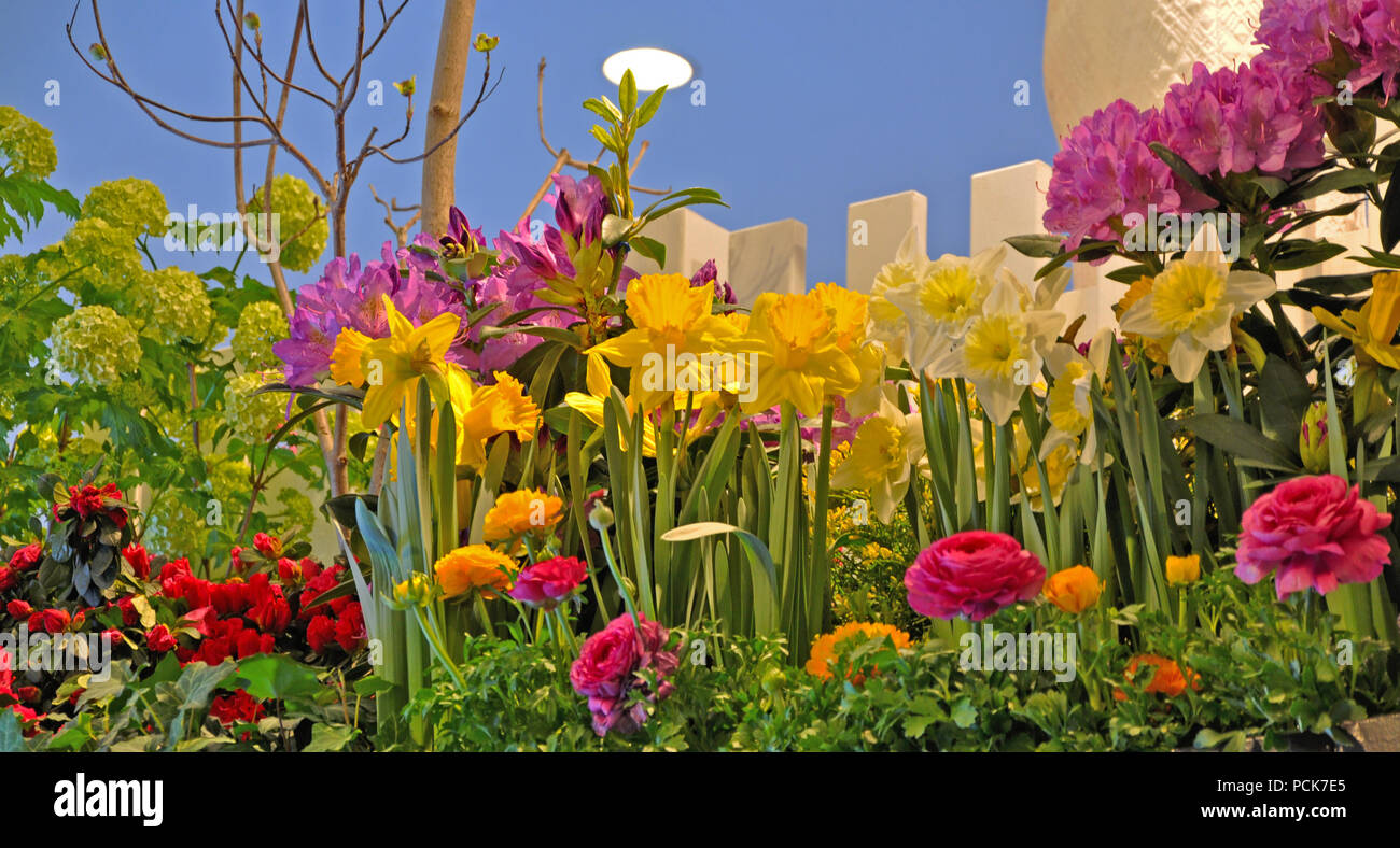 New York, NY. Macy's annual flower show displays. March 20, 2016 ...