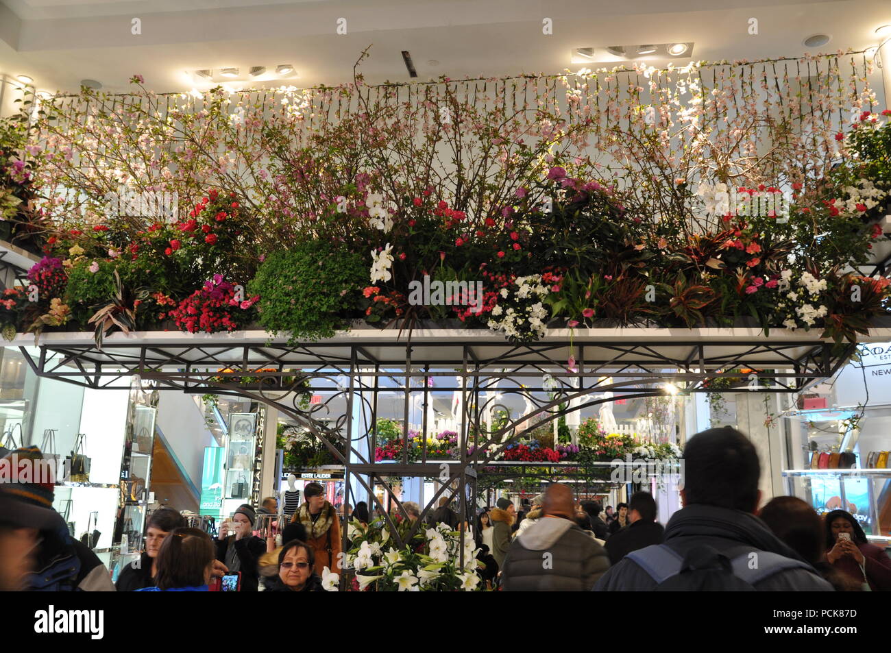 New York, NY. Macy's annual flower show displays. March 20, 2016 ...