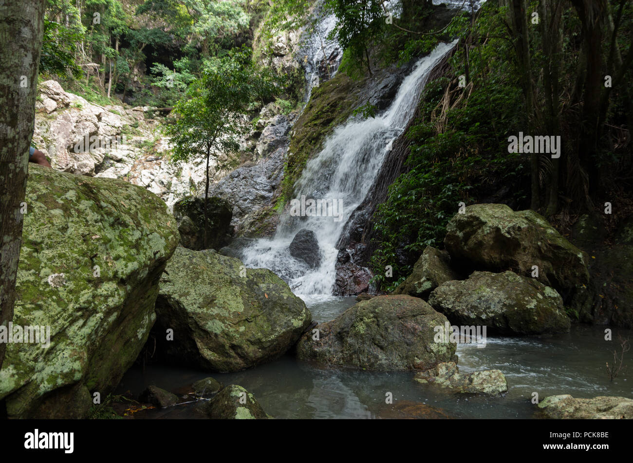Australian bush pond hi-res stock photography and images - Alamy