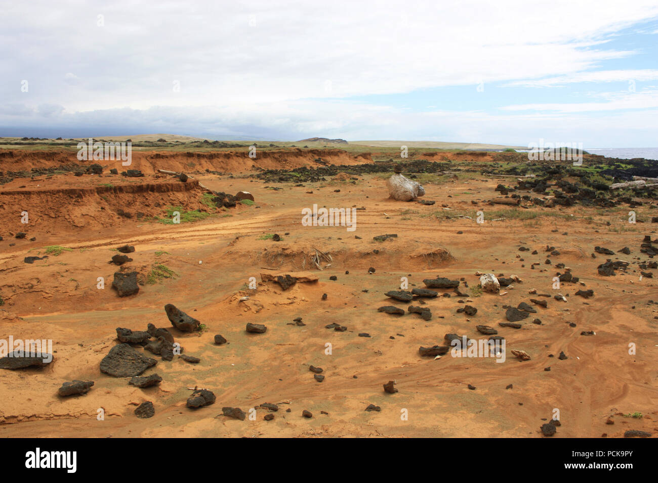 Rust colored sandy soil with small grasses growing alongside the ...