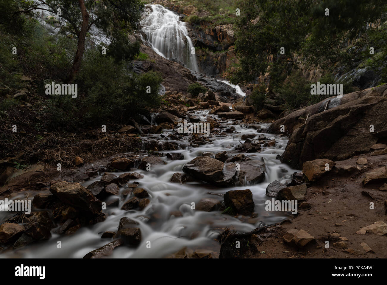 Waterfall flowing in the Perth hills Australia Stock Photo - Alamy