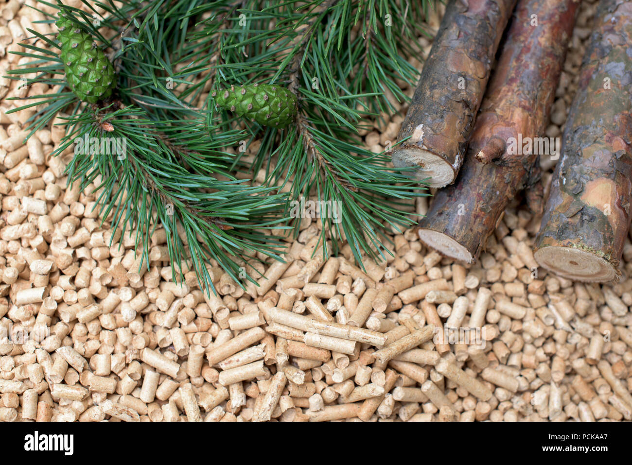 Coniferous biomass - conch, fir, pine, wood, biomass - renewable energy ...