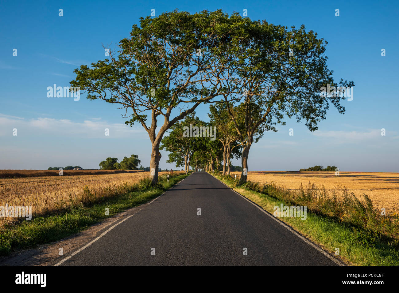 Country roads hi-res stock photography and images - Alamy