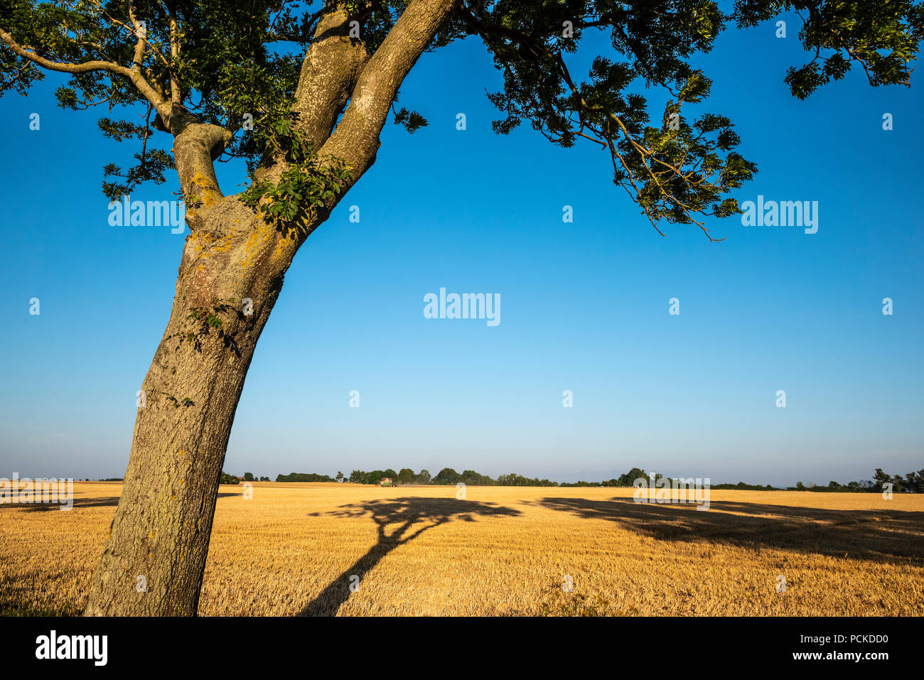 Beautiful fields on hot summer hi-res stock photography and images - Alamy