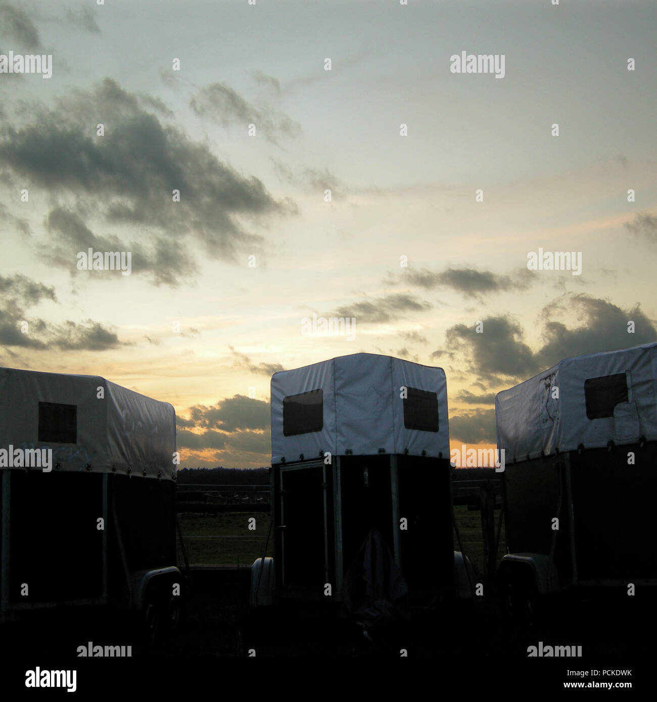 Cattle Lorry High Resolution Stock Photography and Images - Alamy