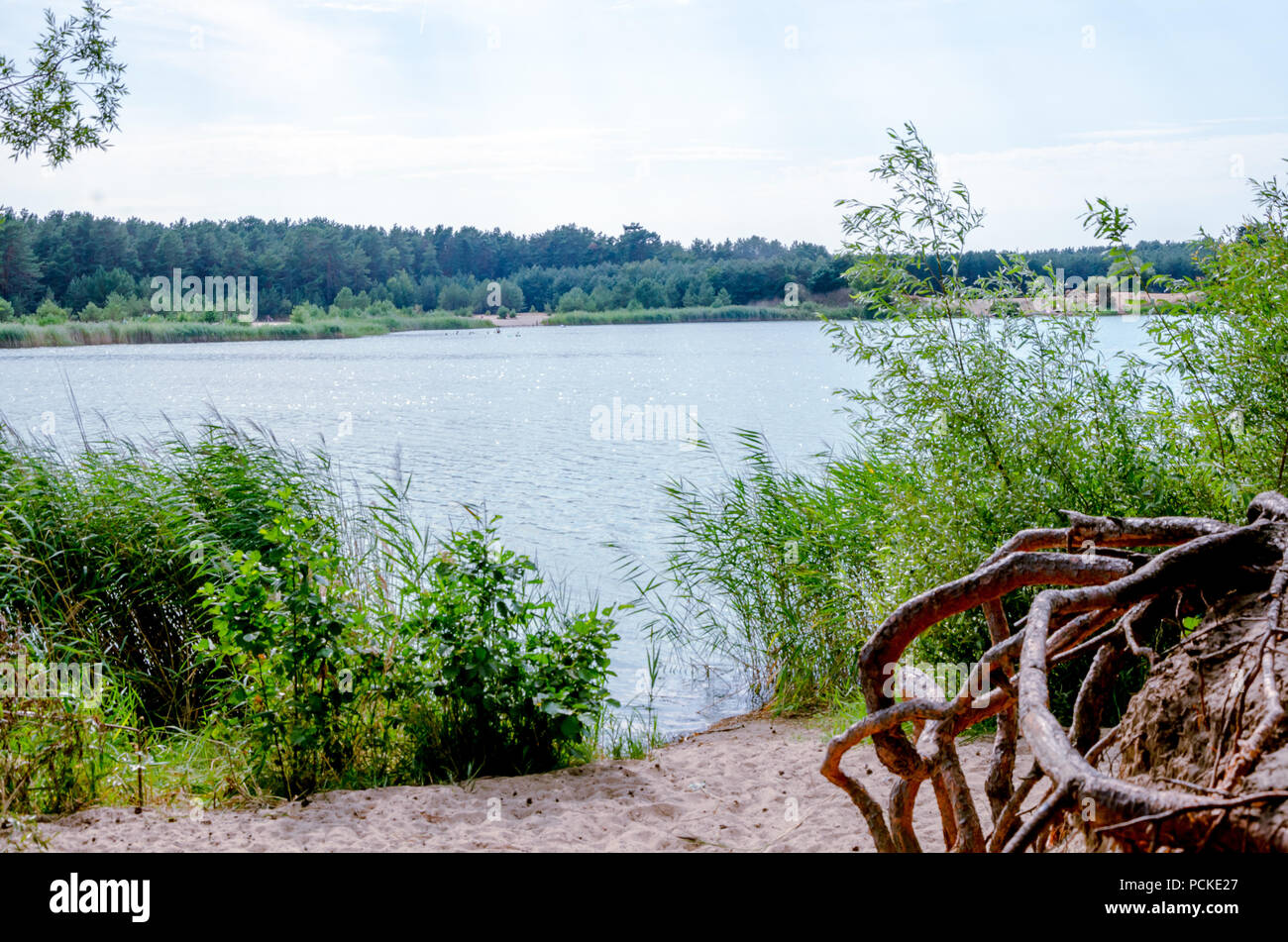 Trees and lake at summer. Nice landscape of german lake vacation ...