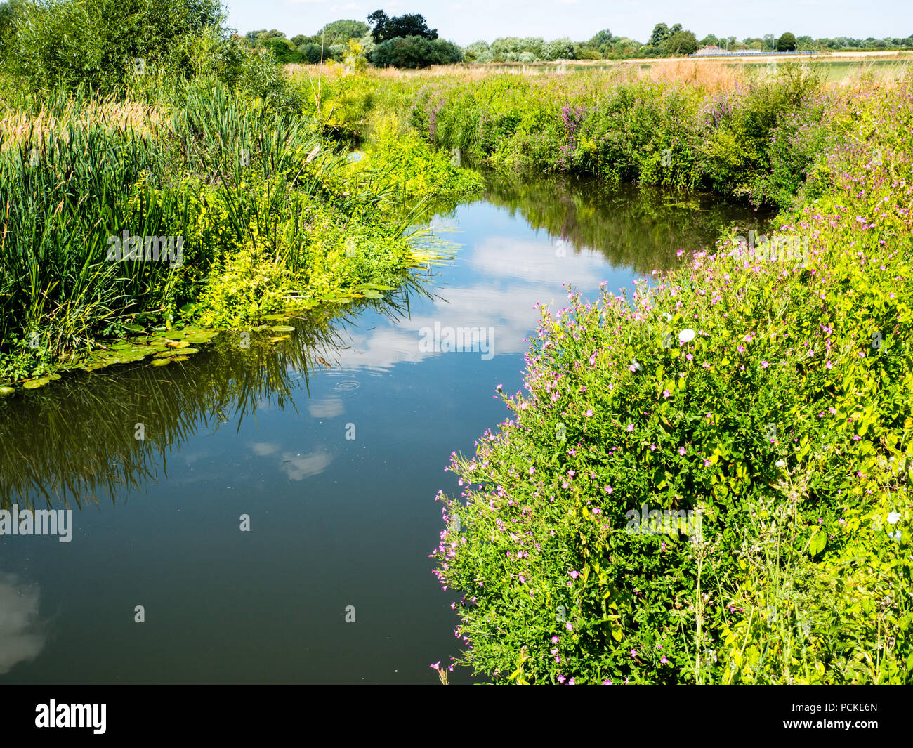 Hurst water meadow trust hi-res stock photography and images - Alamy