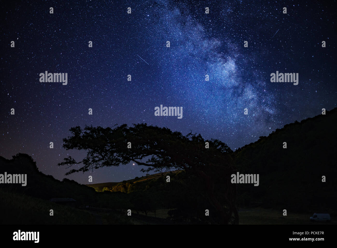 Milky Way, Valley of the Rocks , Exmoor, UK against a windblown tree in ...