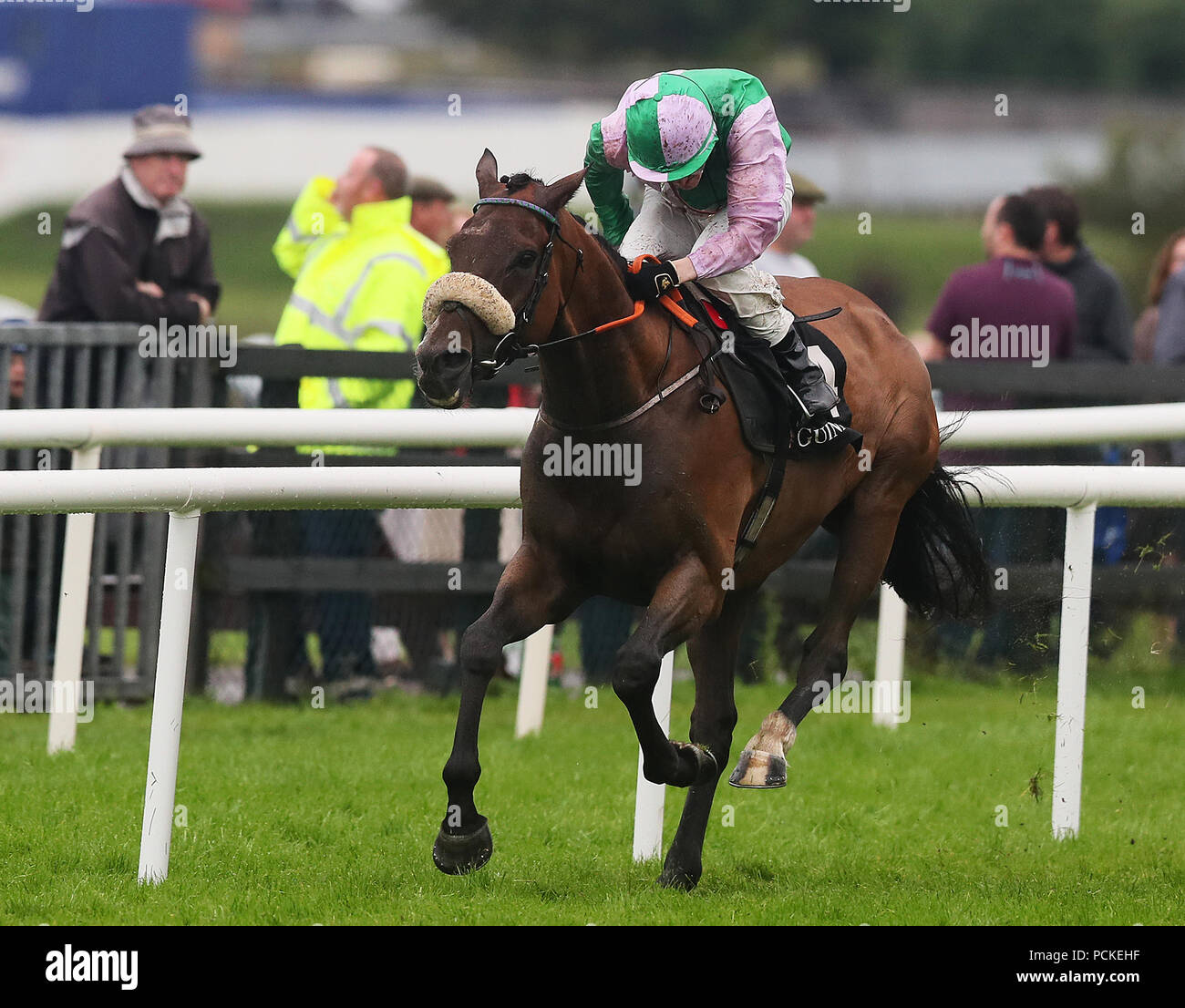 Winning brew horse hi-res stock photography and images - Alamy