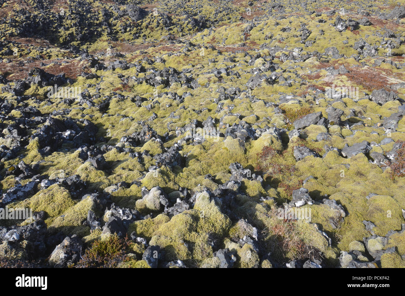 Large lava field hi-res stock photography and images - Alamy