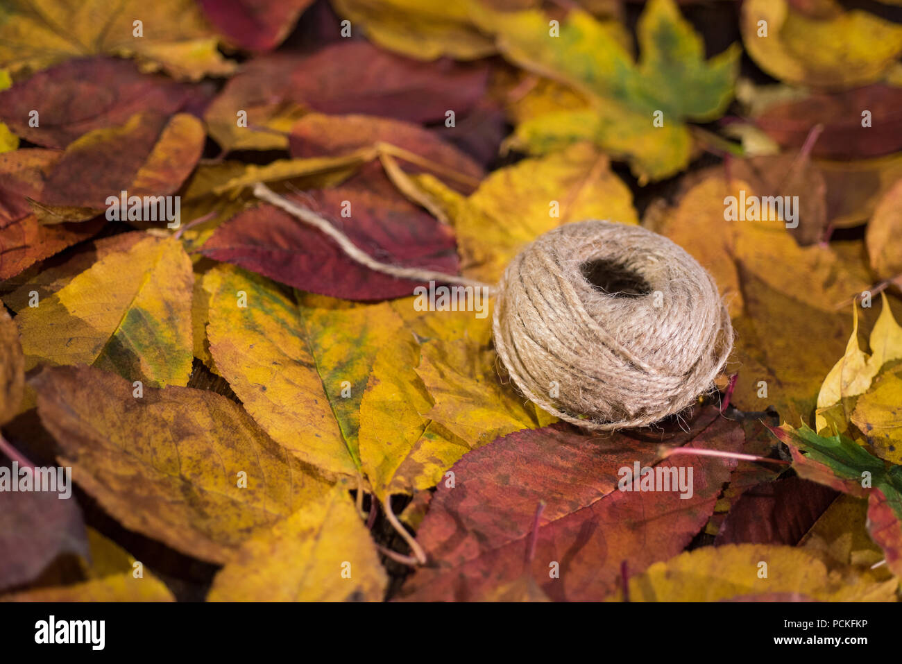 Rope leaves hi-res stock photography and images - Alamy
