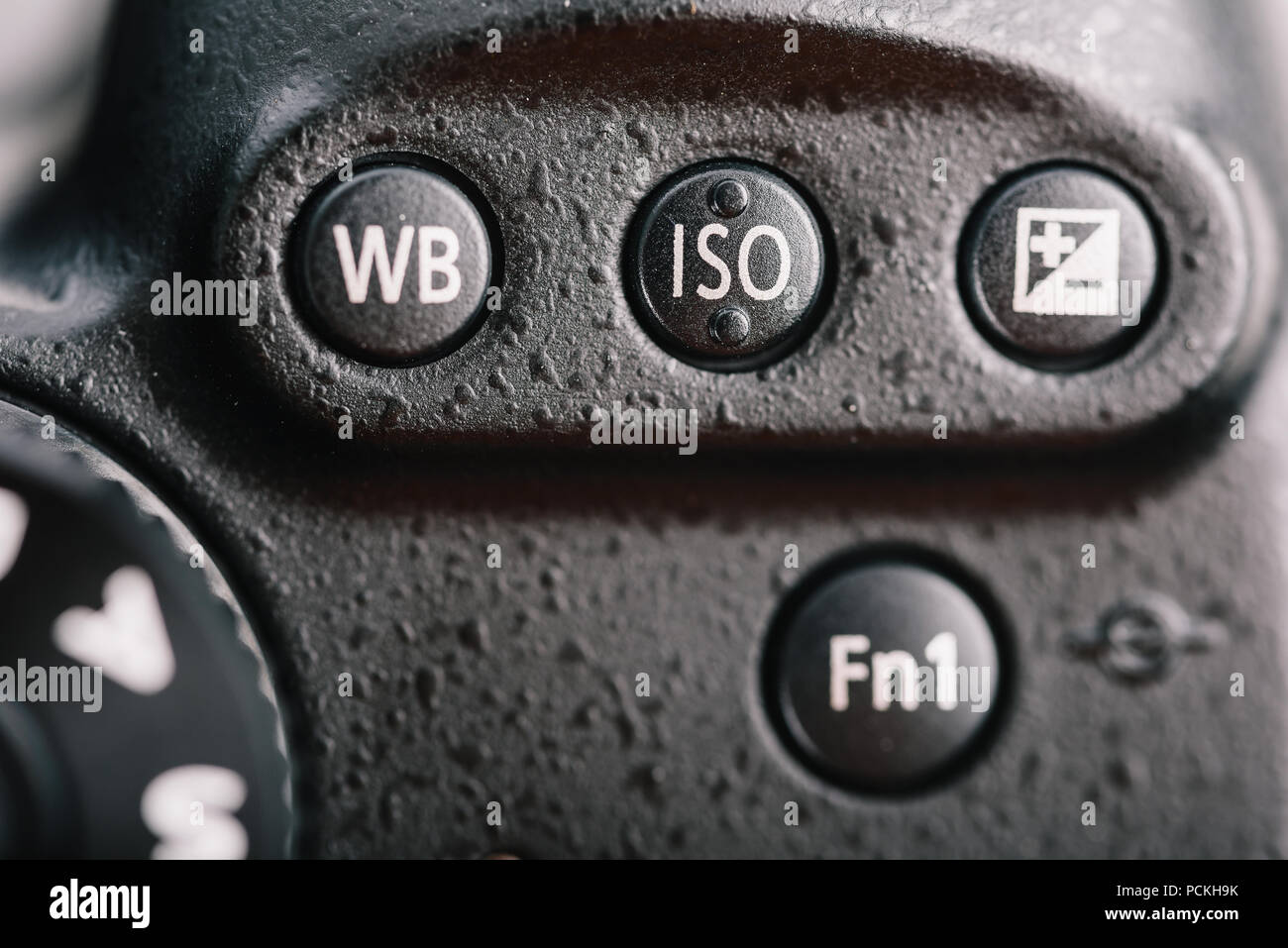White Balance, ISO And Exposure Compensation Buttons On Digital Camera ...