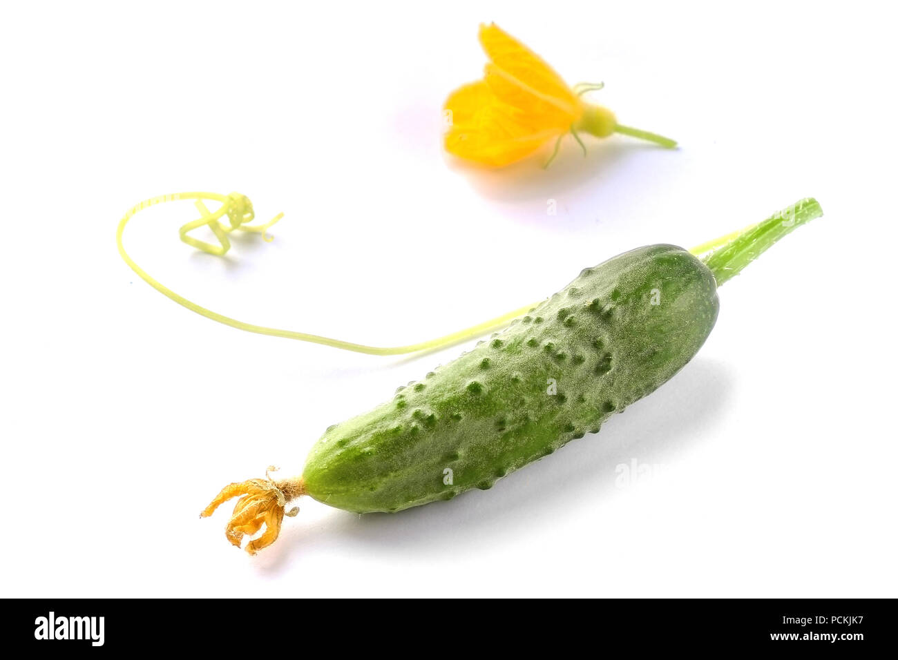 English cucumber Cut Out Stock Images & Pictures - Alamy