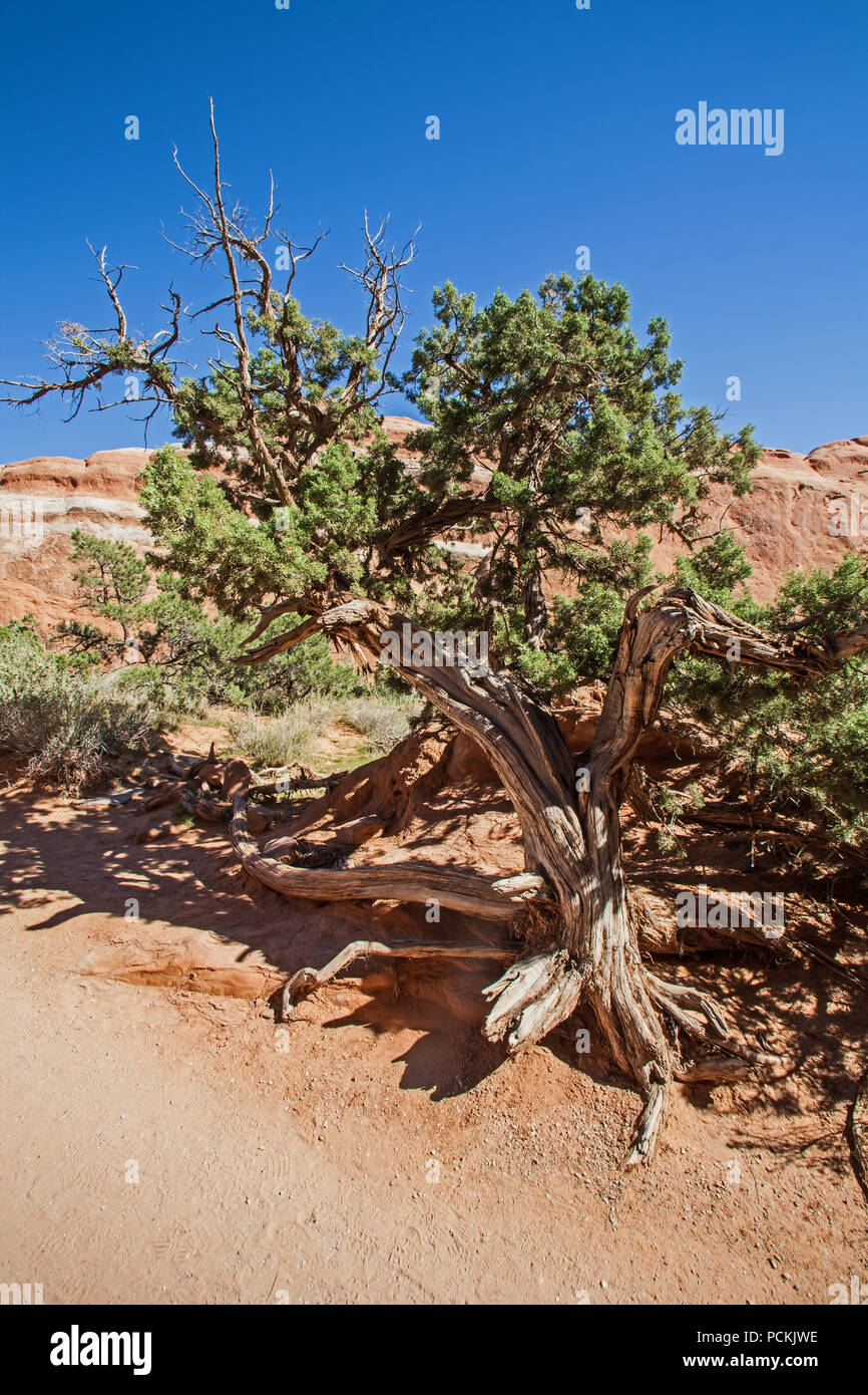 Twisted arches hi-res stock photography and images - Alamy