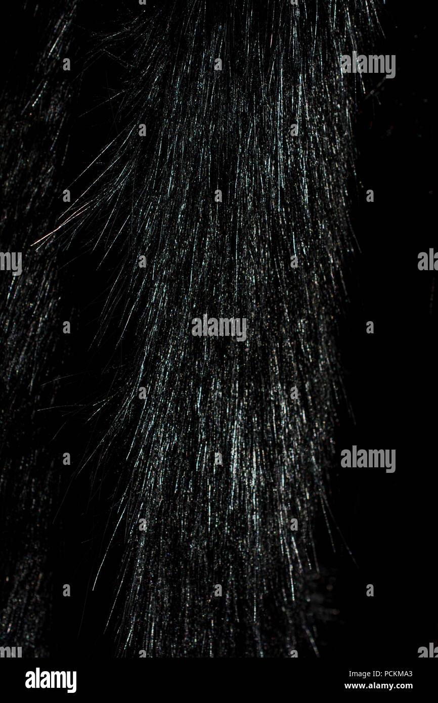 Decorative animal fur as a background texture Stock Photo - Alamy