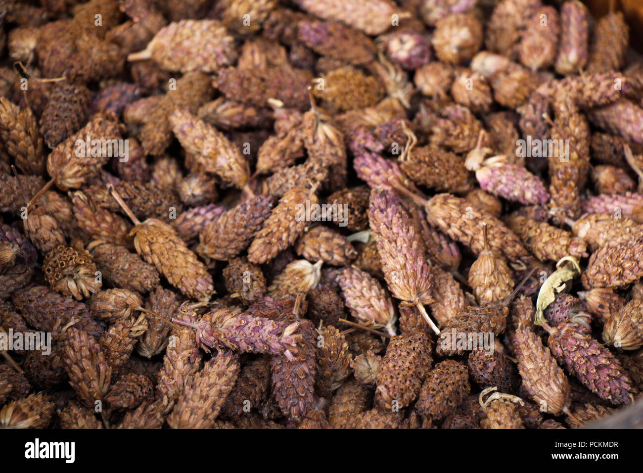Dry herbal plants as food and remedy Stock Photo - Alamy