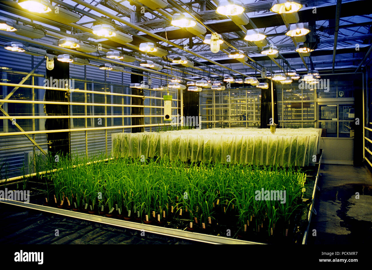 The agricultural biotech company Cropdesign in Ghent (Belgium, 02/11 ...