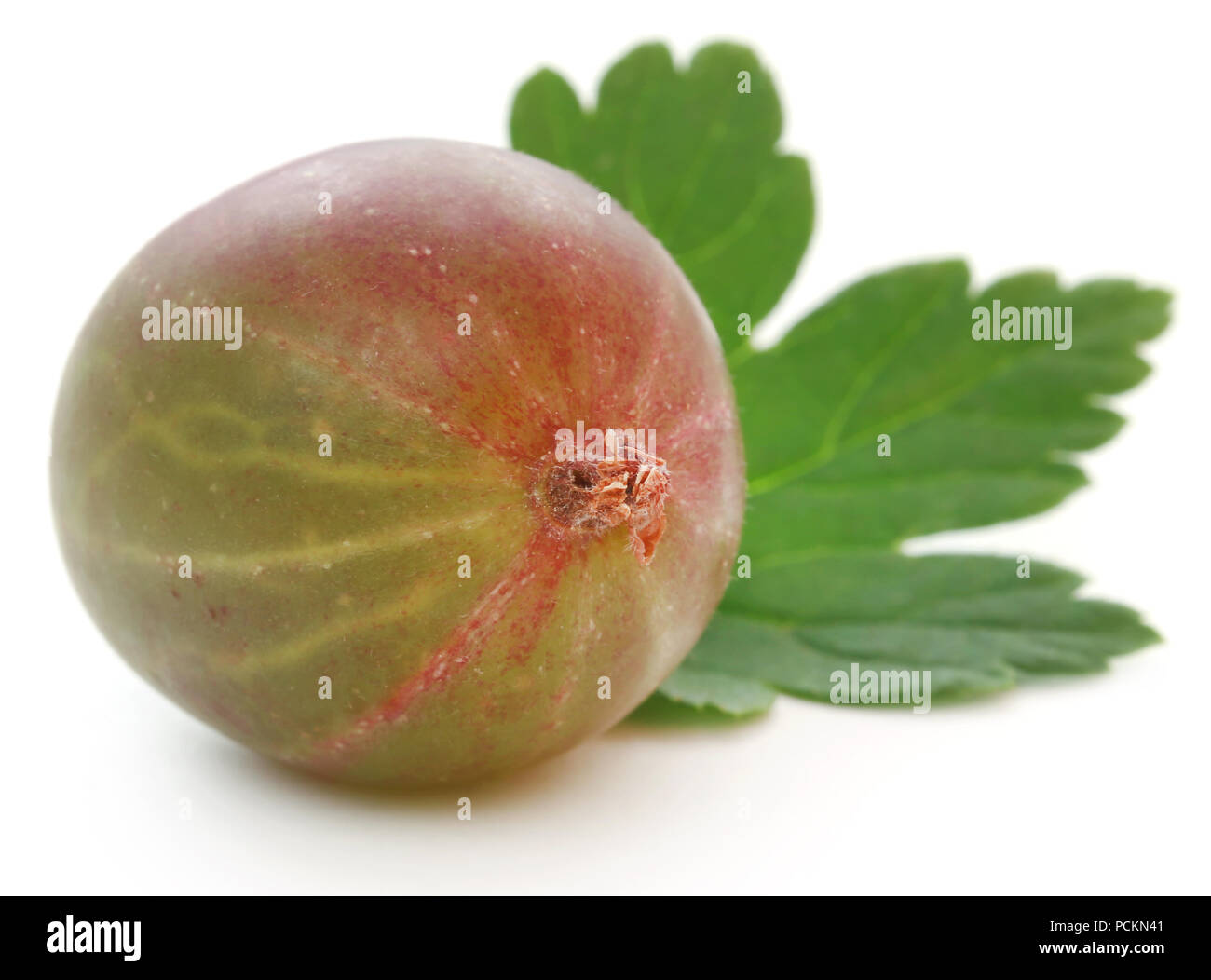 Fresh ripe gooseberry over white background Stock Photo - Alamy