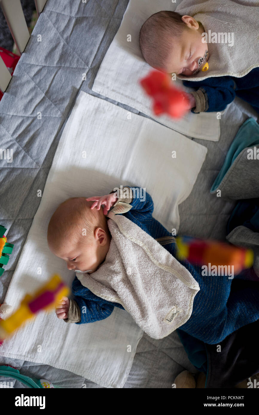 Illustration picture of a newborn baby twins (Heverlee, 15/02/2017 ...