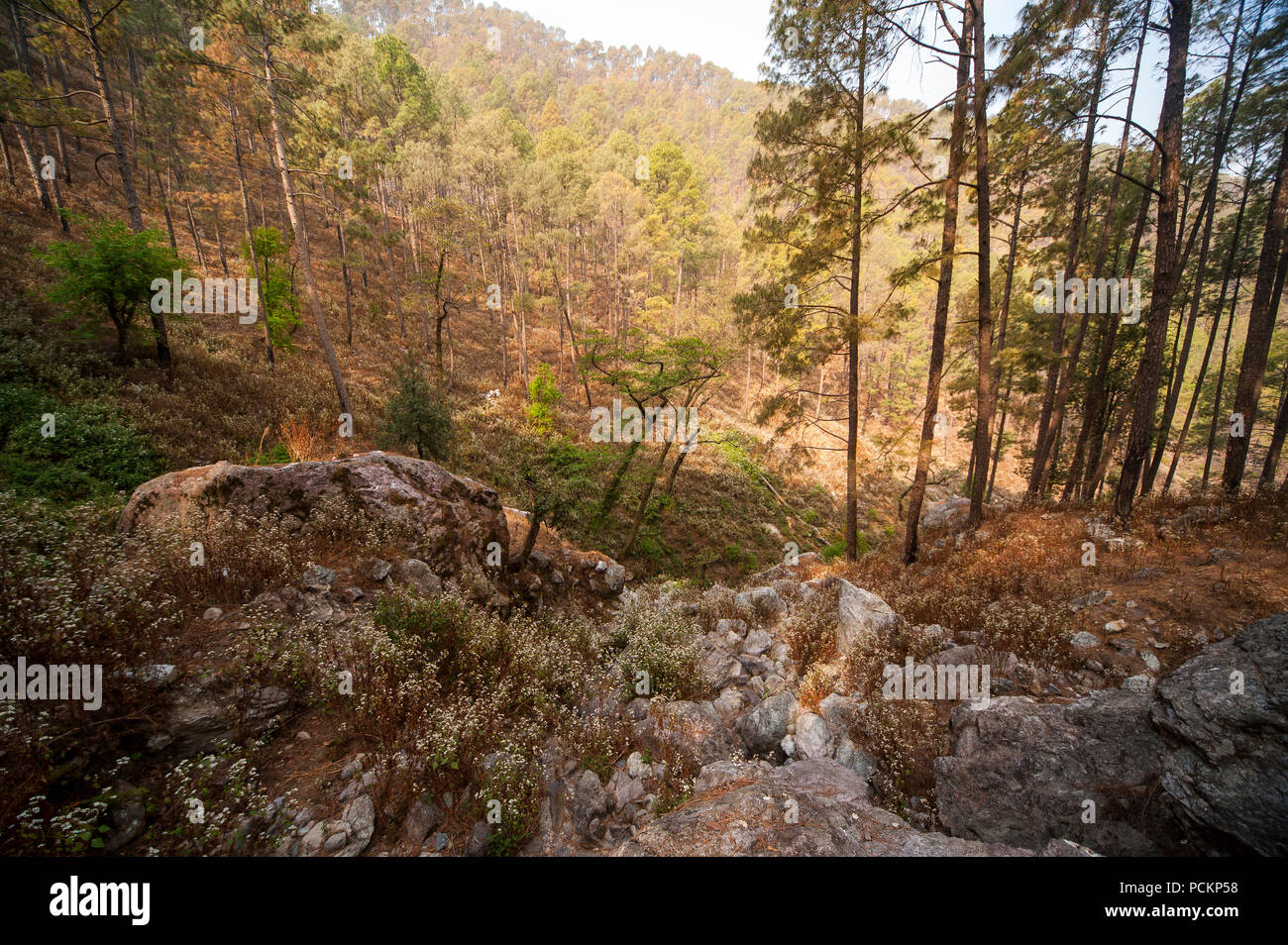 Valley where Jim Corbett shot the Chowgarh maneating tigress, Kala Agar ...