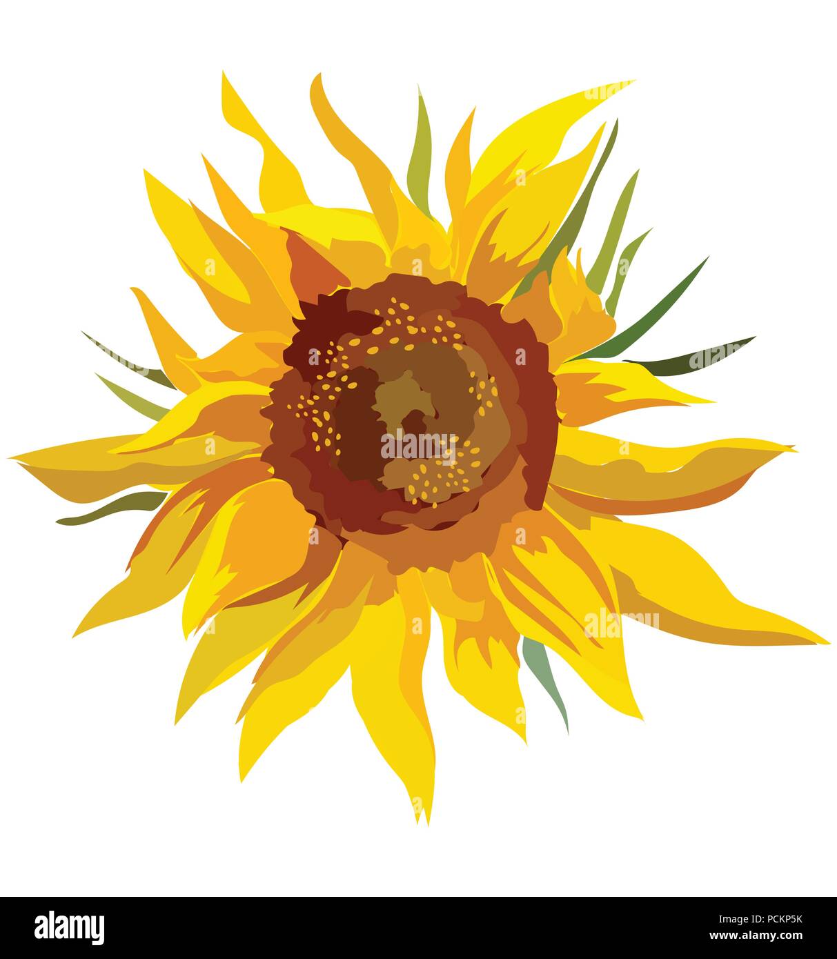Sunflower vectors hi-res stock photography and images - Alamy