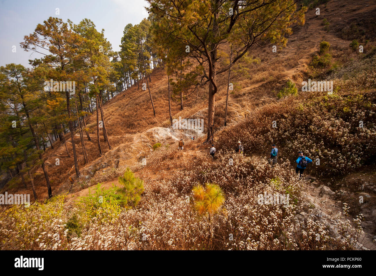 On the way to Chamoli village, Kumaon Hills, Uttarakhand, India Stock ...