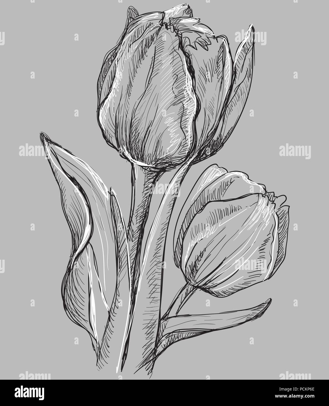 Grey black flower vector Stock Vector Images - Alamy