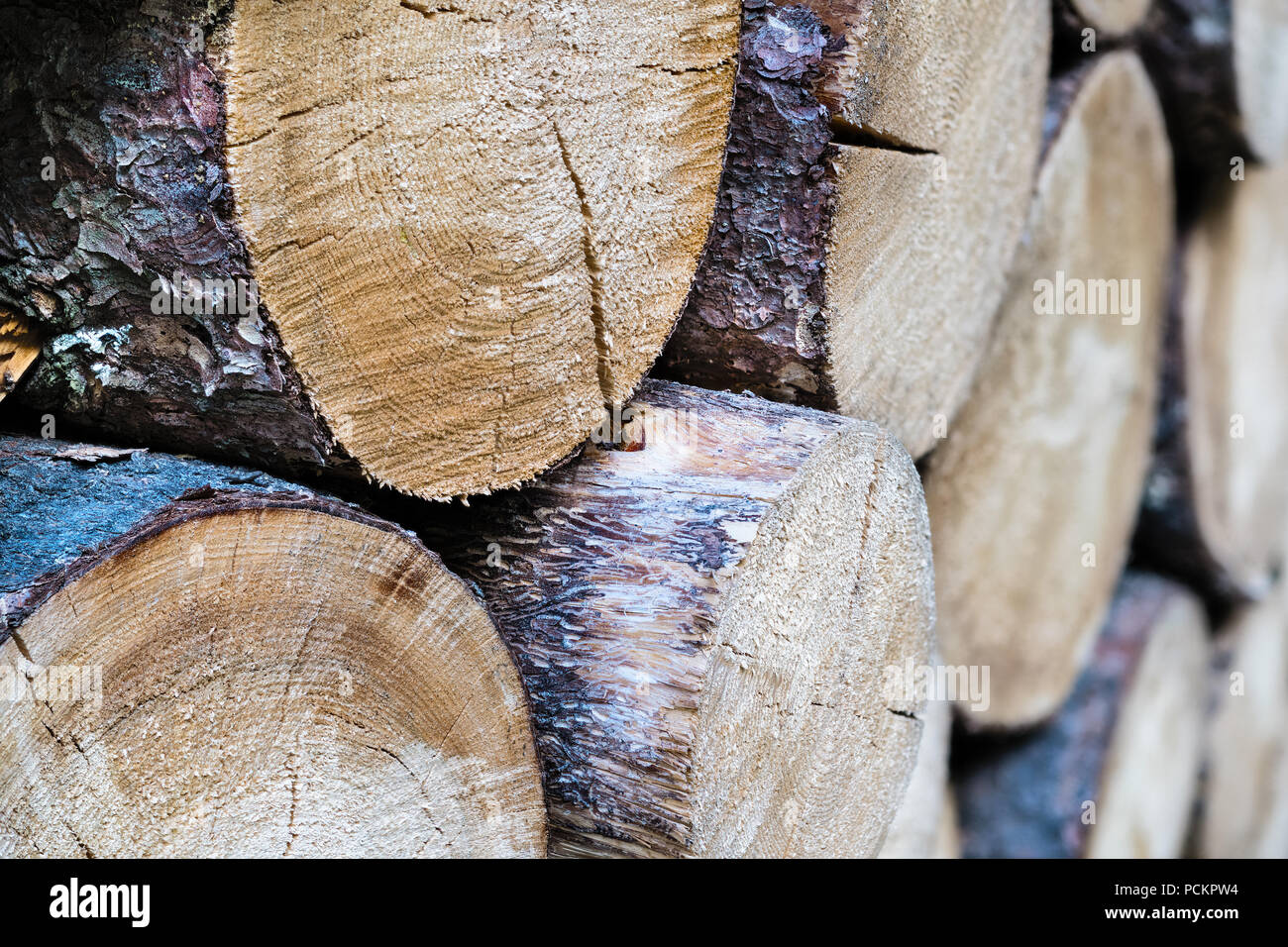 Selective logging hi-res stock photography and images - Alamy