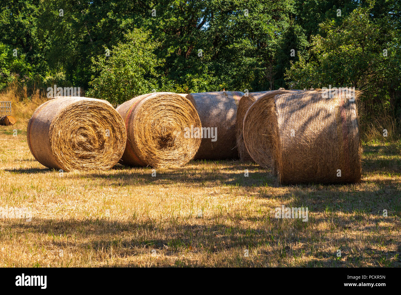 Straw rolls hi-res stock photography and images - Alamy