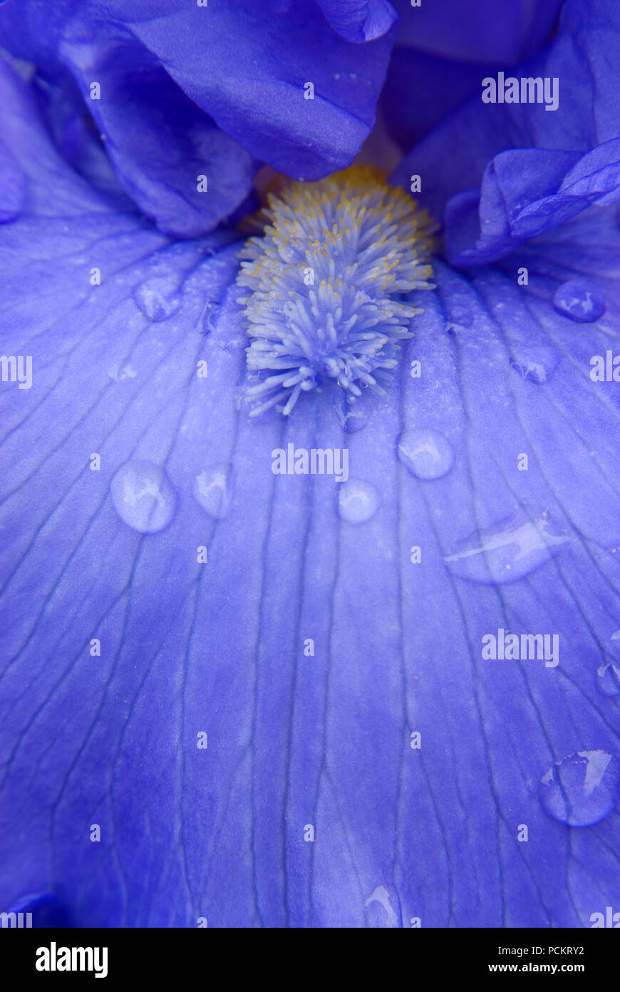 Baja blue hi-res stock photography and images - Alamy