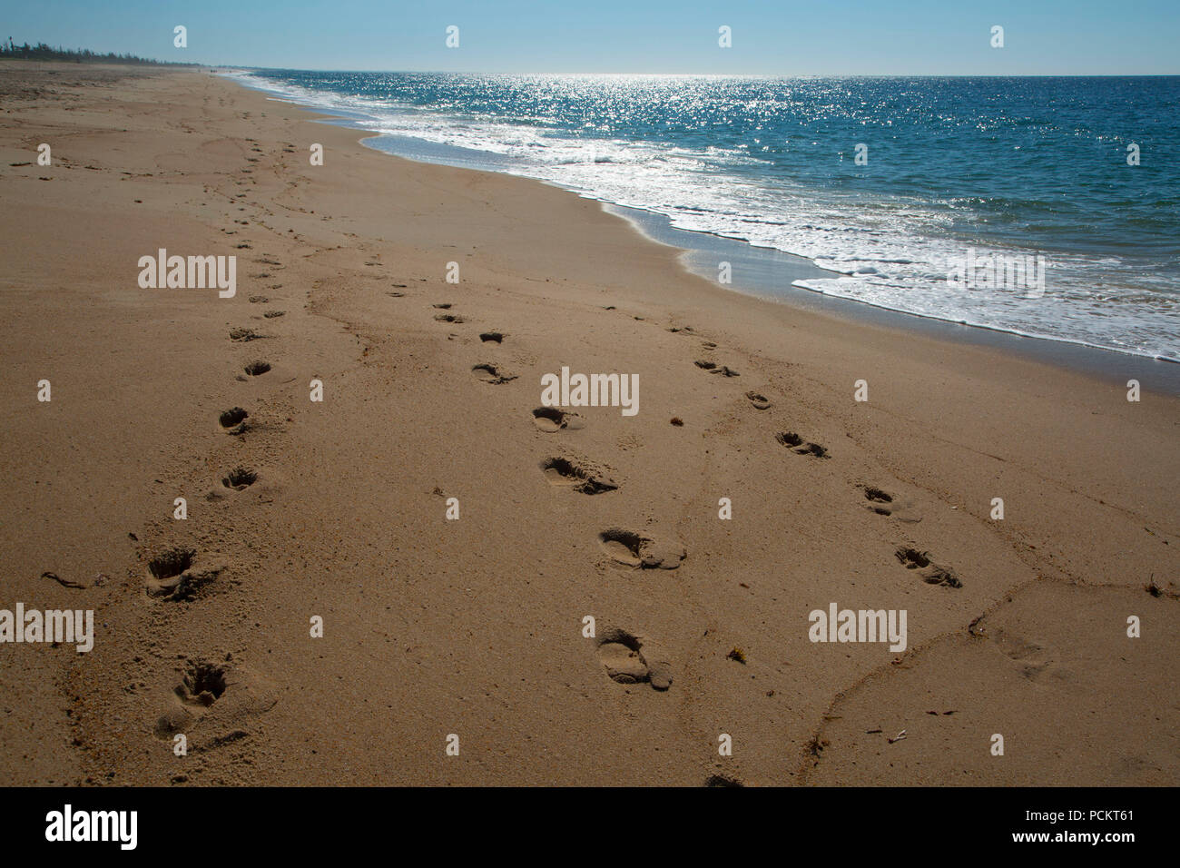 Ninigret conservation area hi-res stock photography and images - Alamy