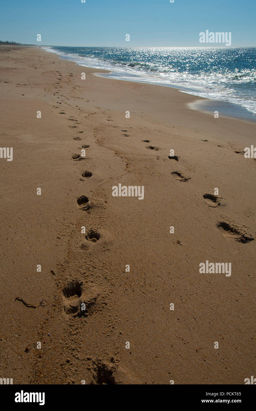 East Beach, Ninigret Conservation Area, Rhode Island Stock Photo - Alamy
