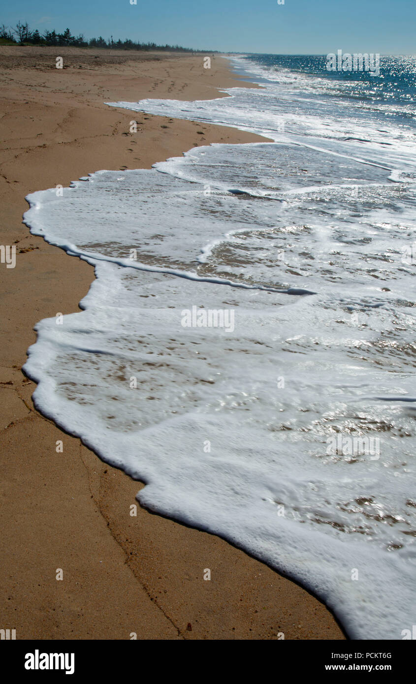 Ninigret conservation area hi-res stock photography and images - Alamy