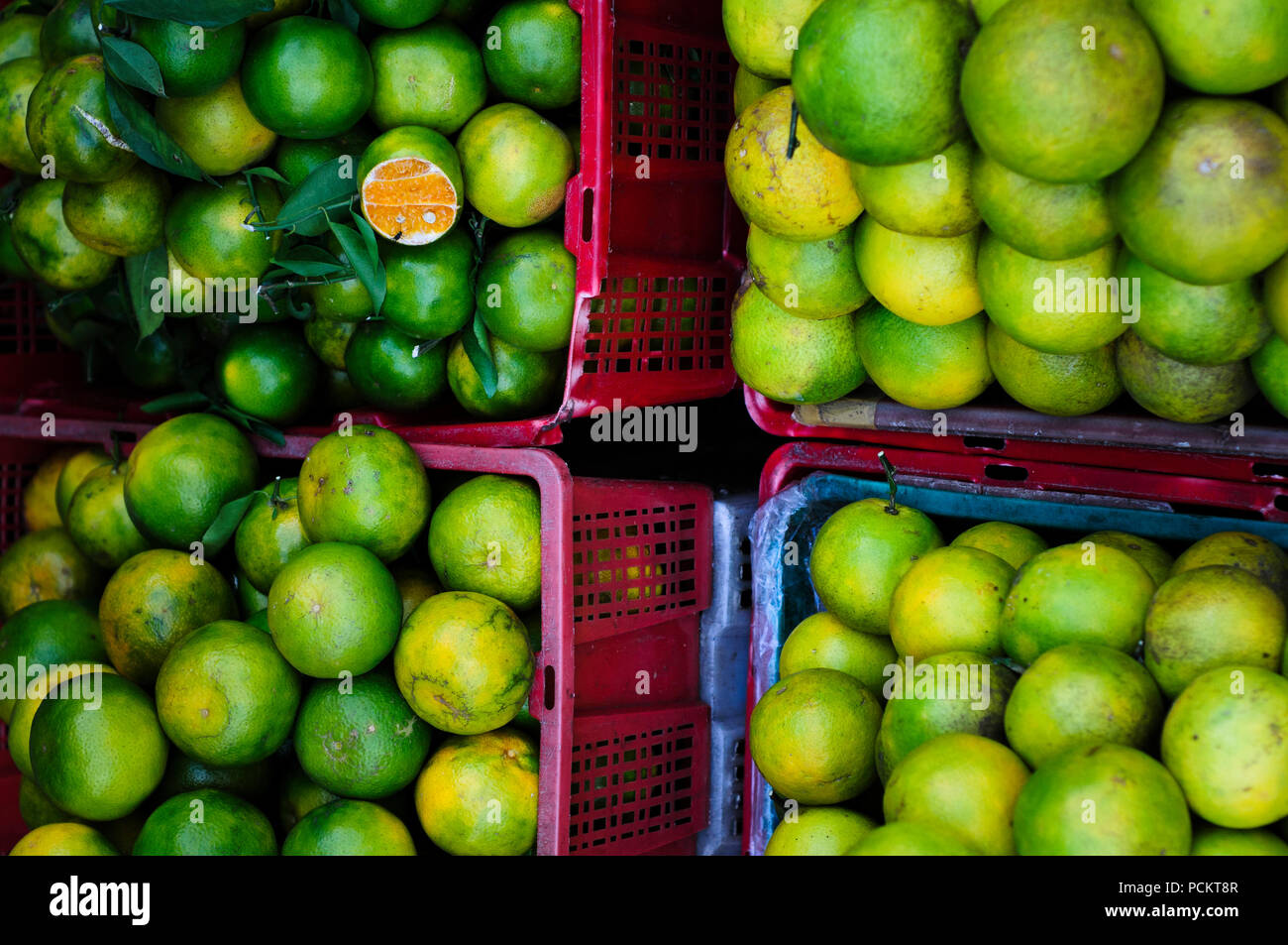 Calamondin fruits hi-res stock photography and images - Alamy