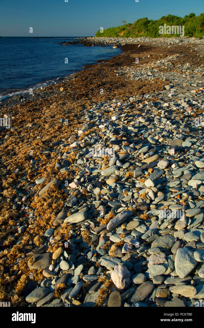 Sachuest point national wildlife hi-res stock photography and images ...